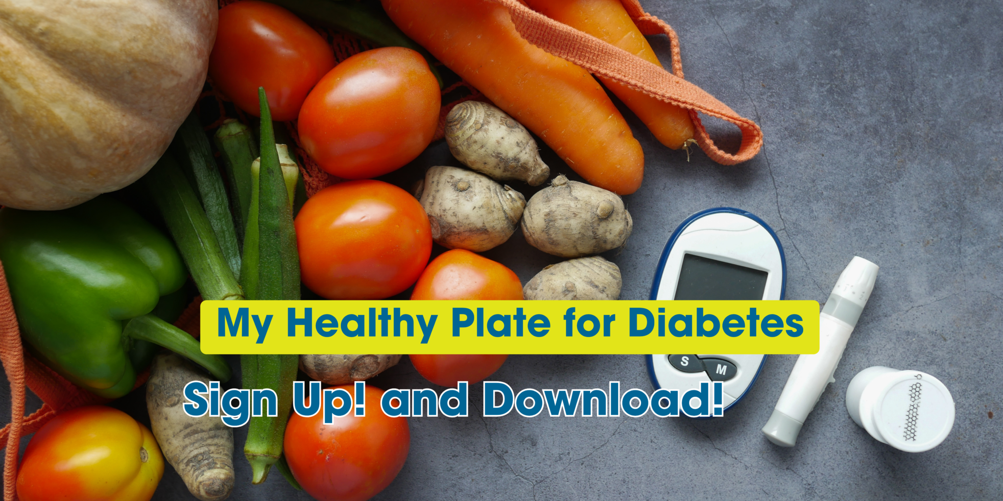 My Healthy Plate for Diabetes - Fox Functional Nutrition